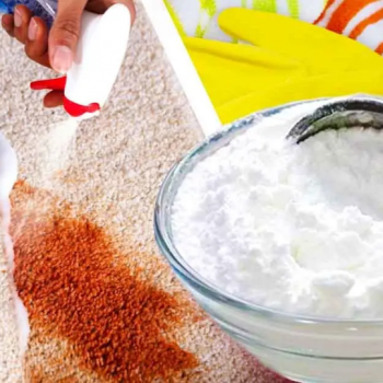 Der schnelle und einfache Weg, den Toilettenboden OHNE Anstrengung zu ...